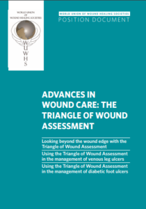Position document: Advances in wound care: the triangle of wound ...